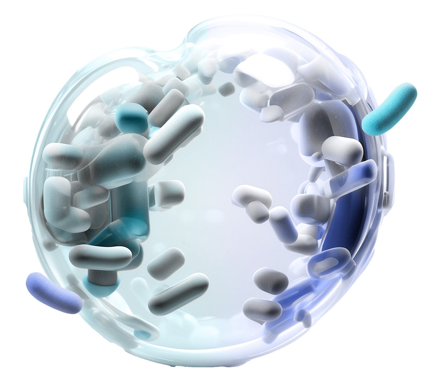 Probiotics innovation » Kaneka Probiotics