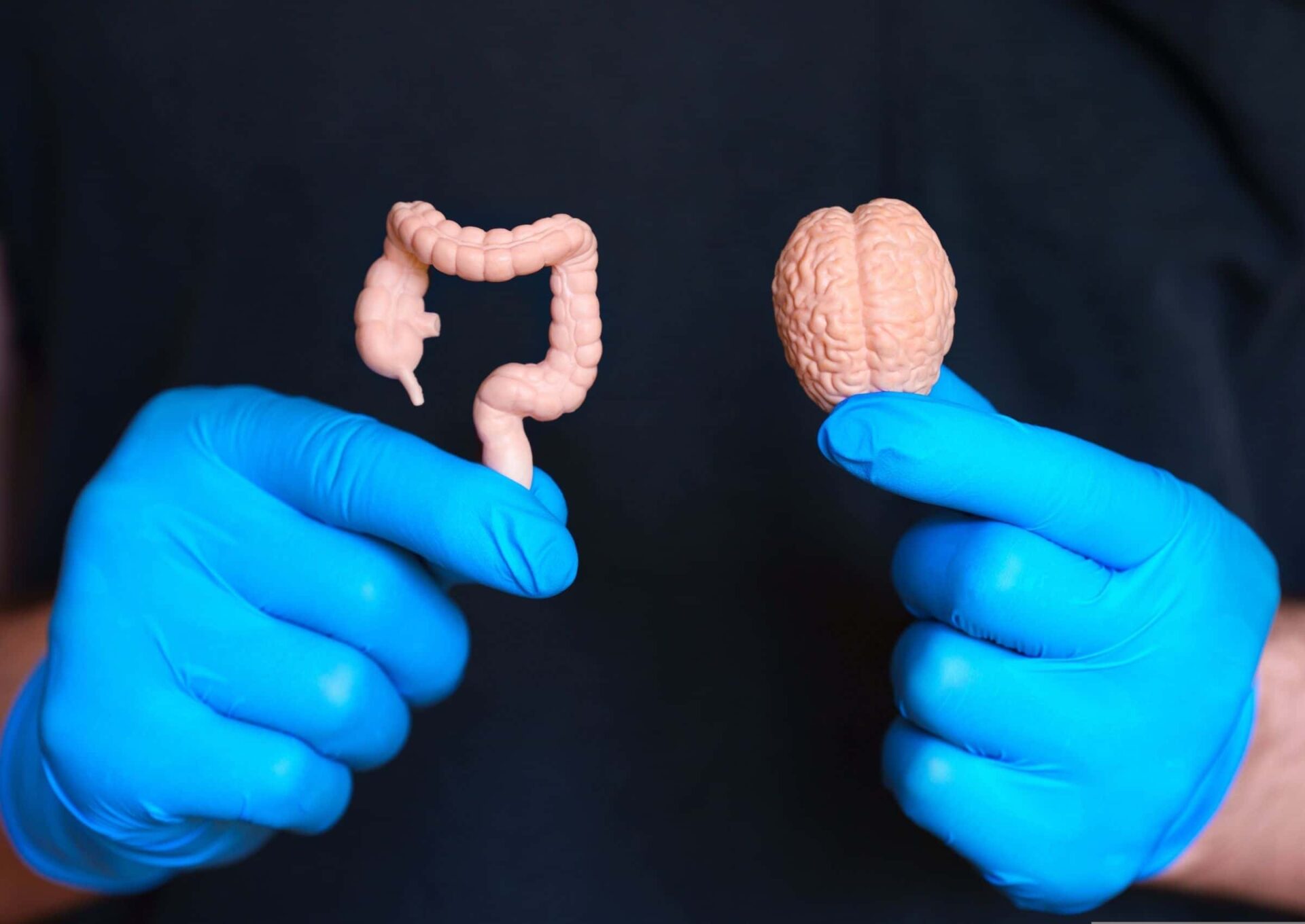 Probiotic manufacturer led by science » Kaneka Probiotics